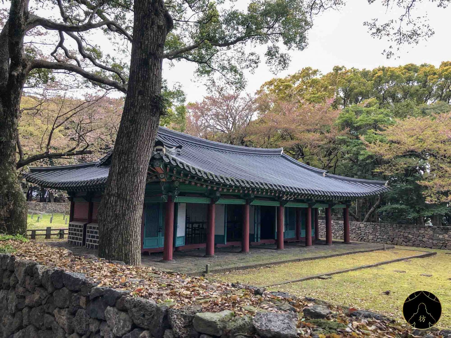 Île de Jeju Corée du Sud - Guide Voyage Complet À Lire Avant Votre Trip