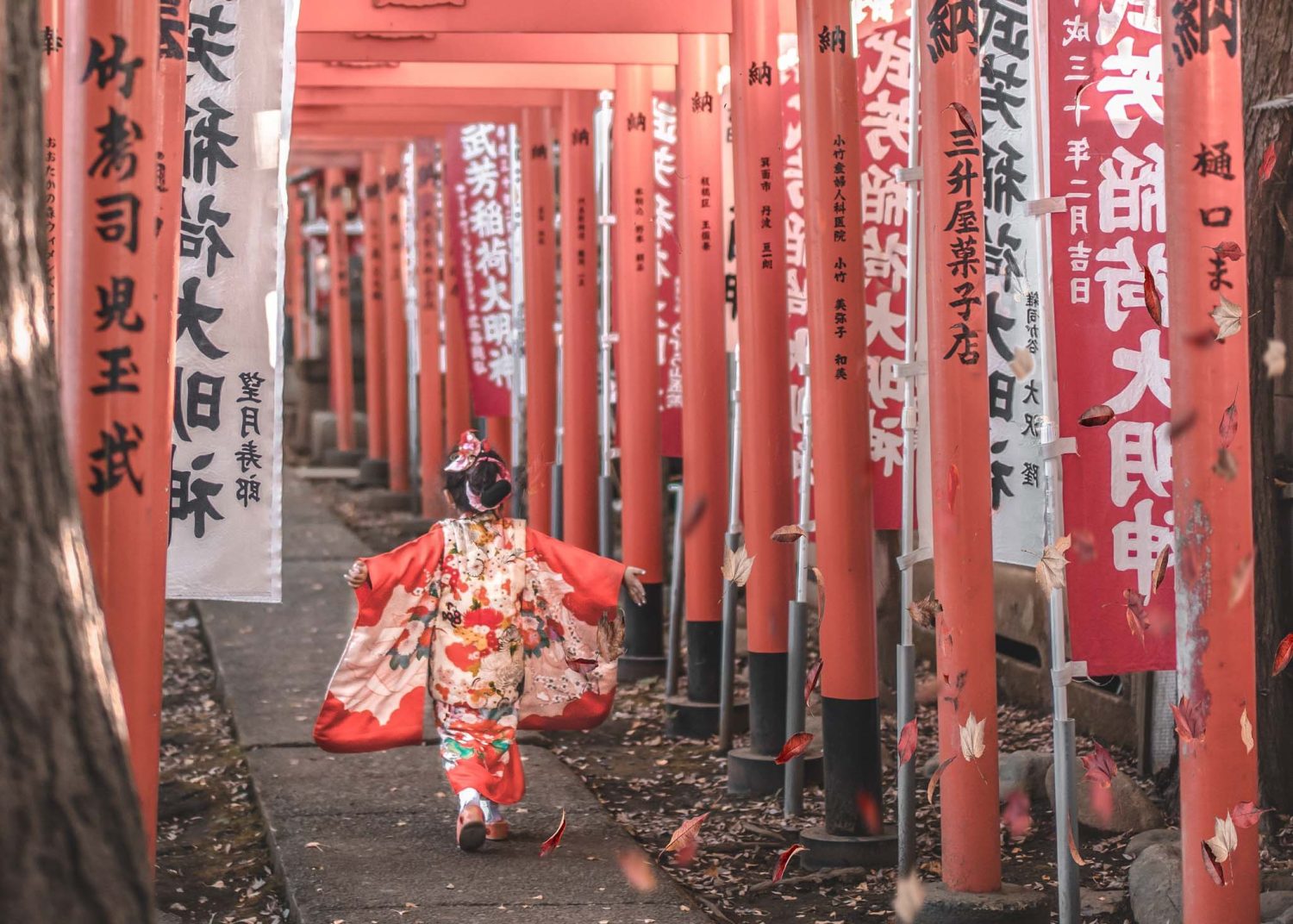 Japan Itinerary 10 Days – How to Plan Your Trip Day by Day [2025]