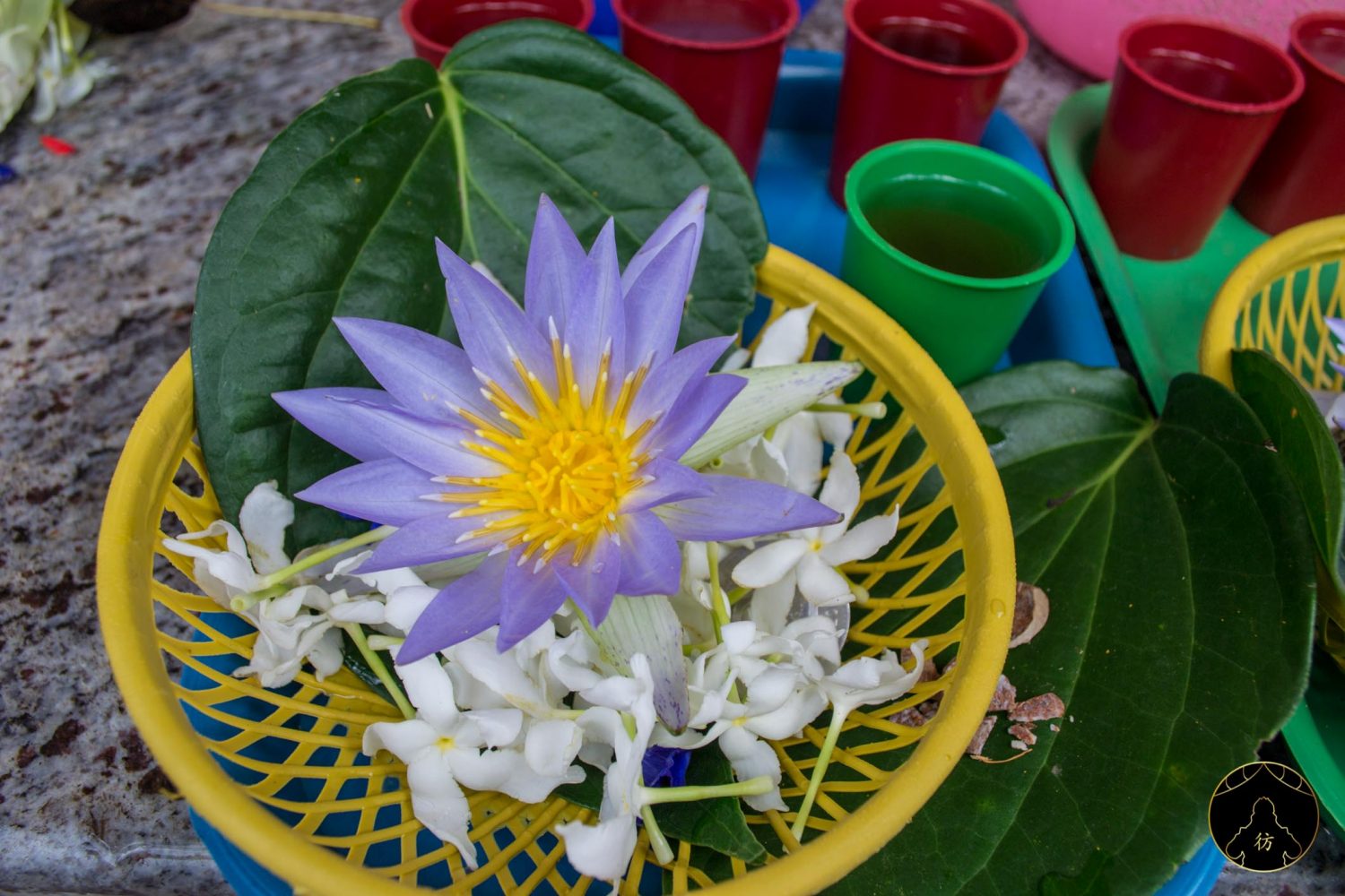 The 10 Best Things To Do In Colombo Sri Lanka | Complete Travel Guide