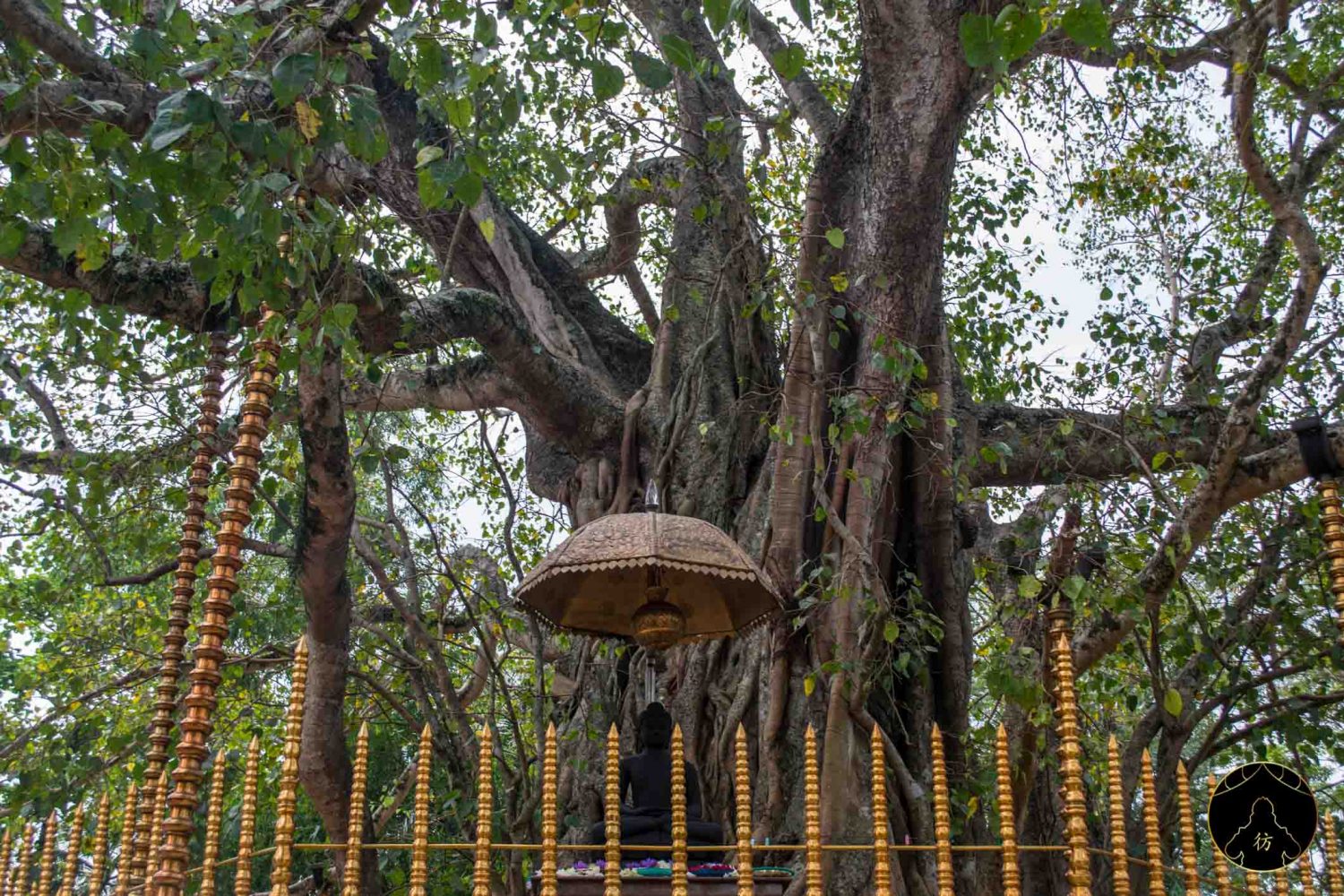 The 10 Best Things To Do In Colombo Sri Lanka | Complete Travel Guide