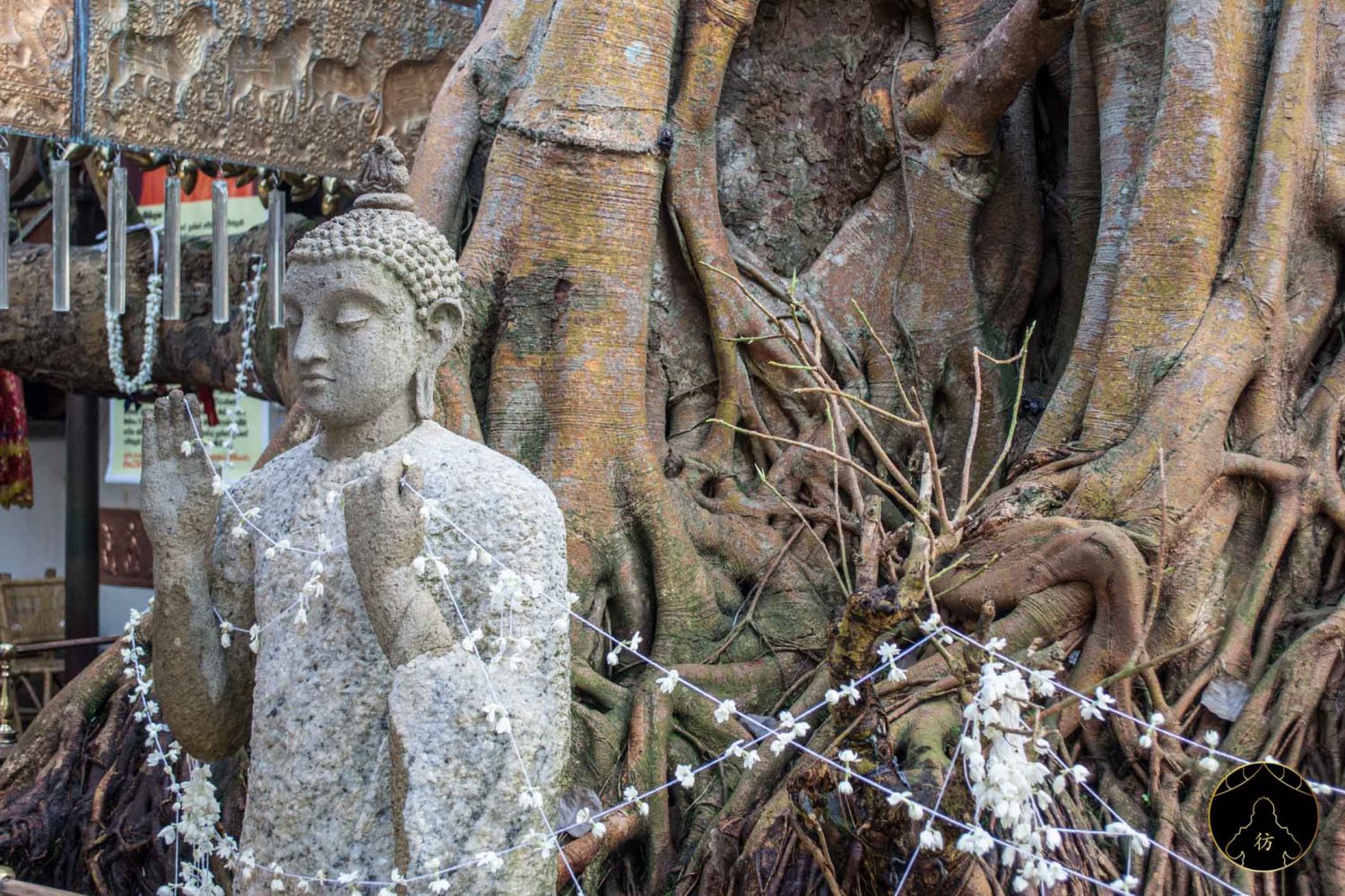 The 10 Most Beautiful Places To See In Colombo In 2026