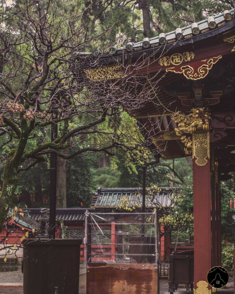 Visit Yanesen - An Unexplored Traditional Area In Tokyo