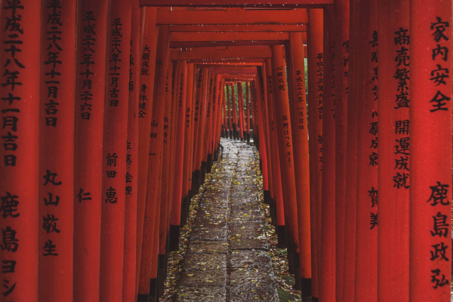 Visit Yanesen - An Unexplored Traditional Area In Tokyo