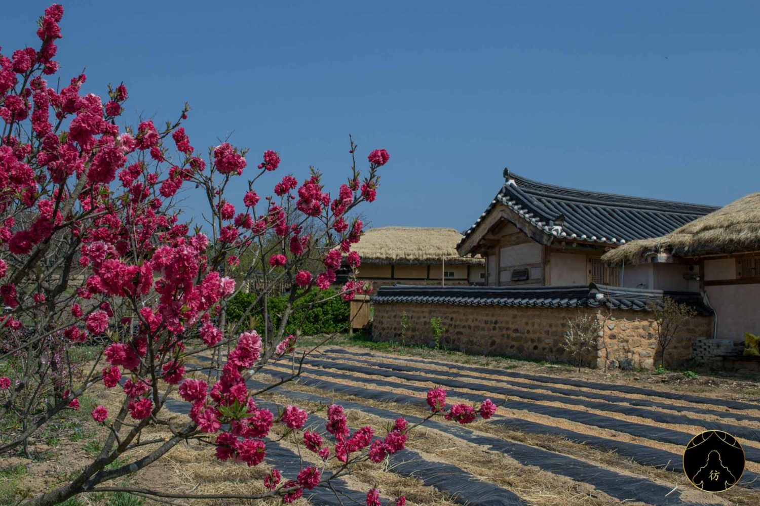What To Do In Andong And Hahoe Folk Village - Travel Guide 2026