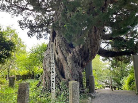 Visiter Yugawara Onsen - Les Incontournables à Ne Pas Manquer